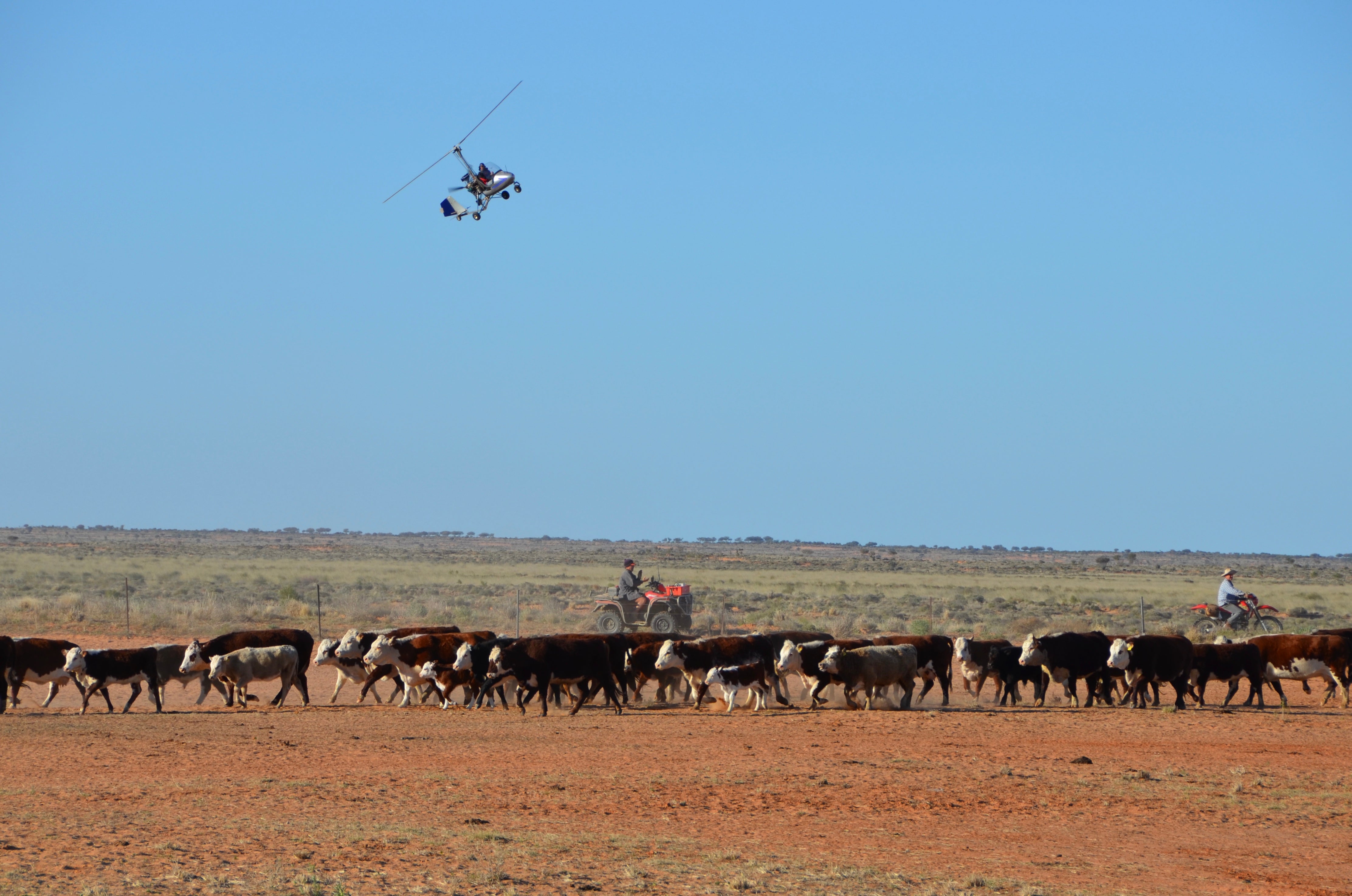 Kembla Station – STOCKMAN N CO