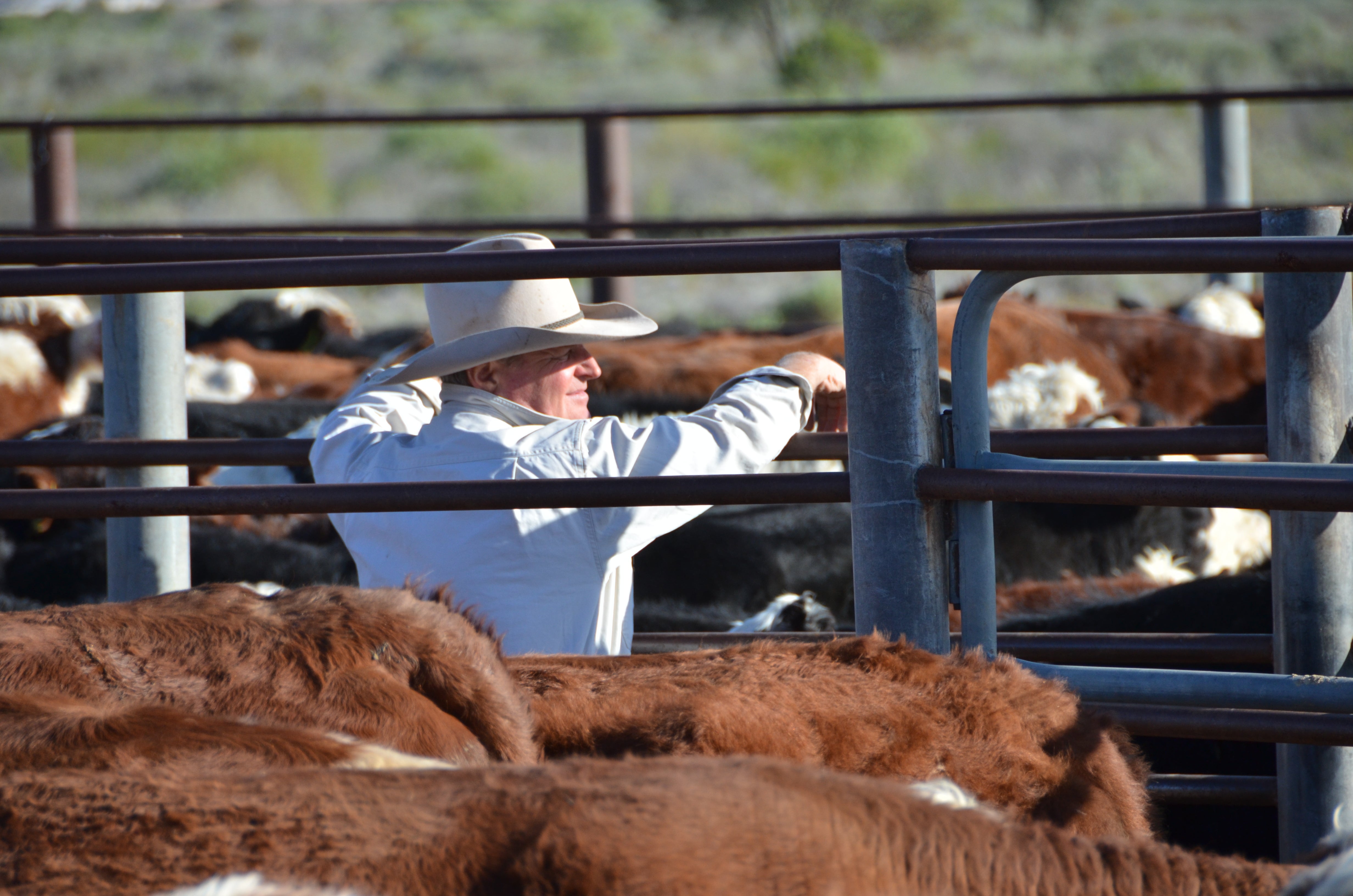 Kembla Station – STOCKMAN N CO