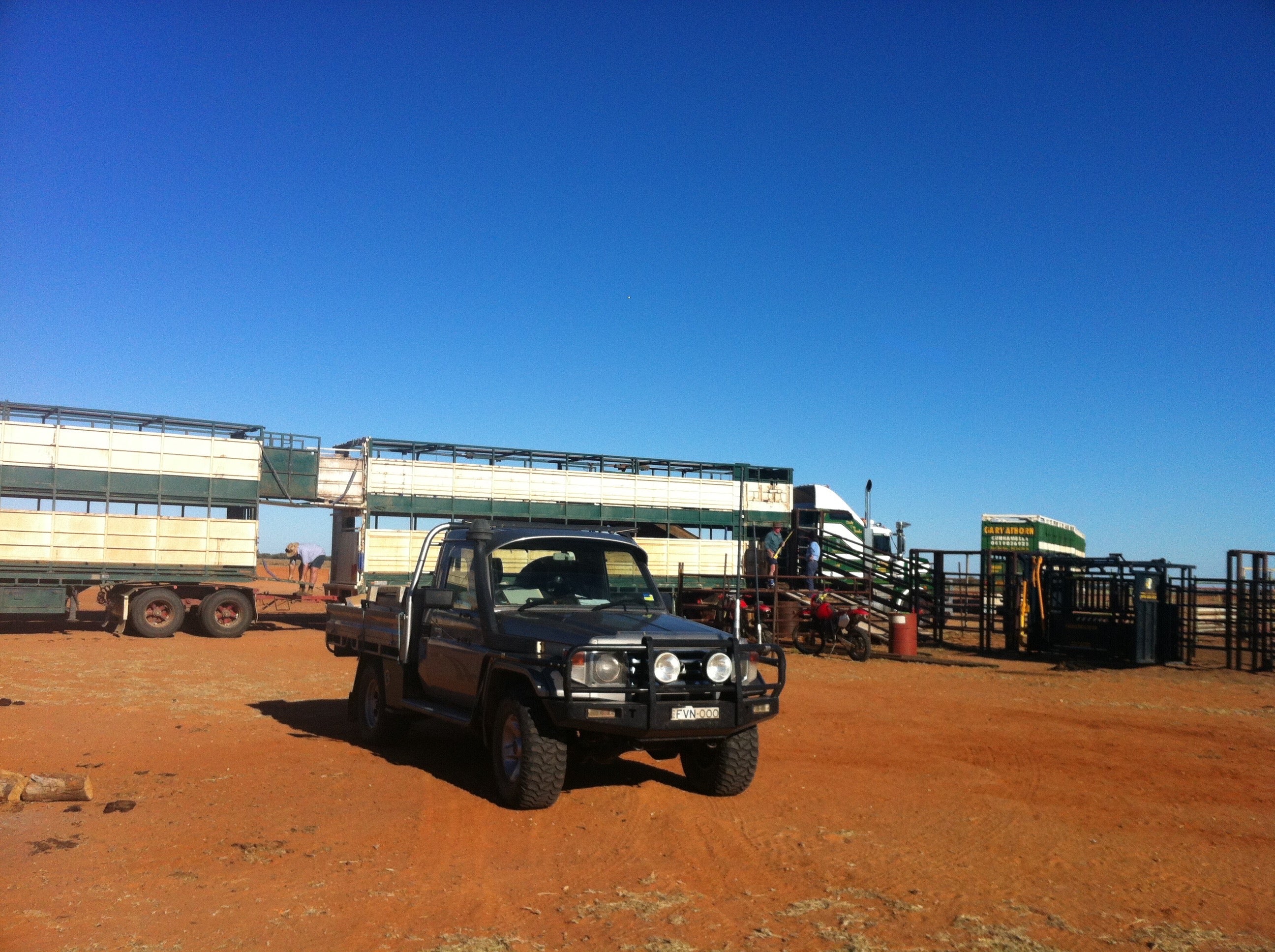 Kembla Station – STOCKMAN N CO