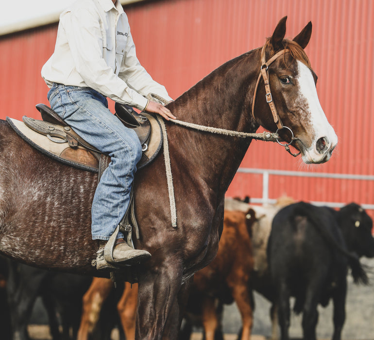 Work Shirts – STOCKMAN N CO